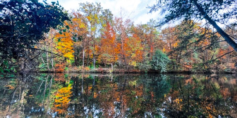 News | Singularity Group